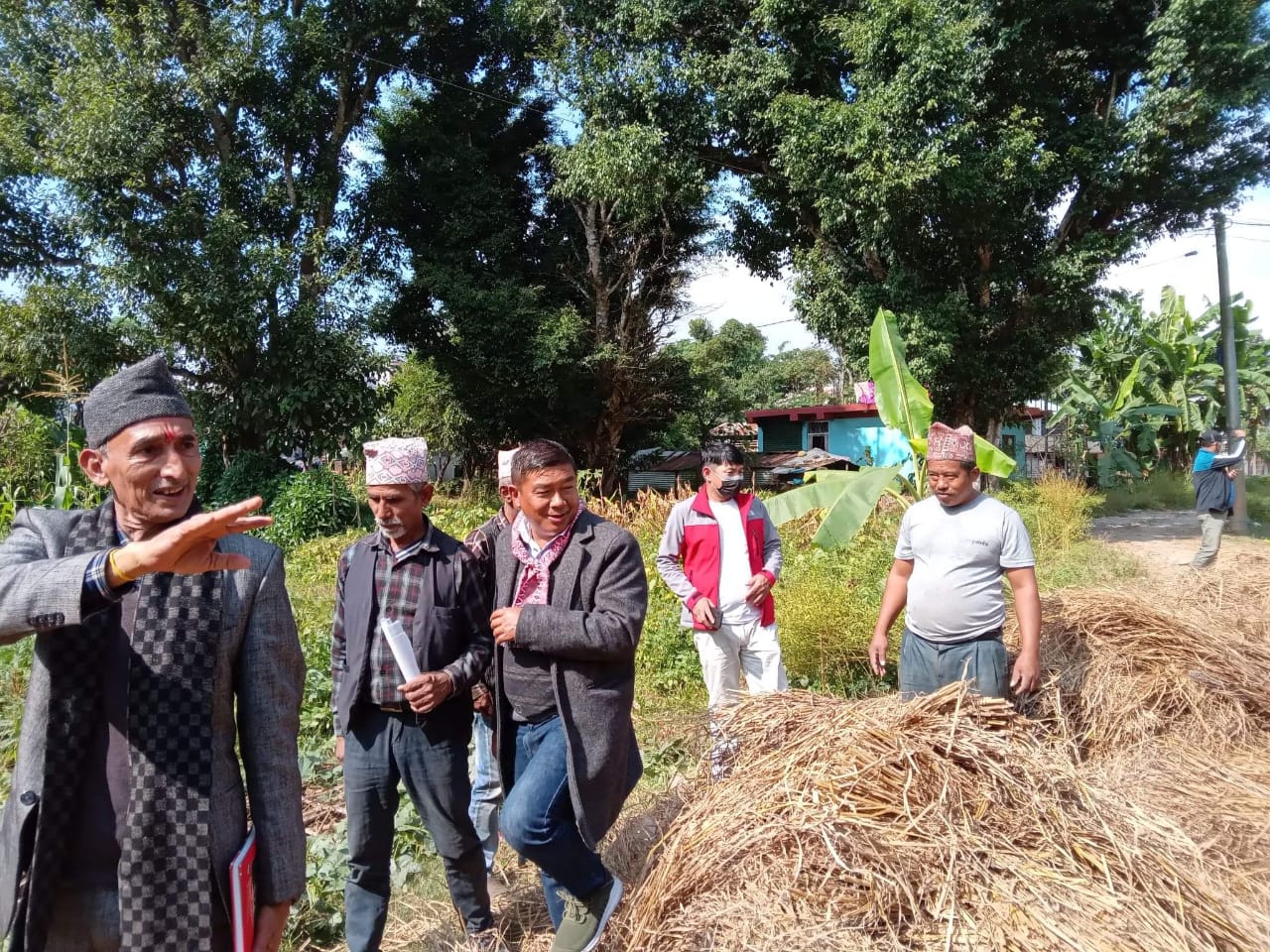 मतदाताको खेतबारीमा डम्बर तामाङ | Bagmati Kalam